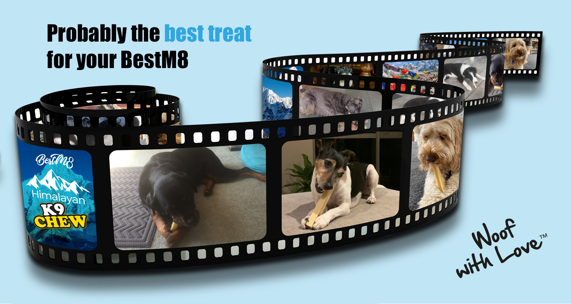 BestM8 - a great product born of New Zealand!