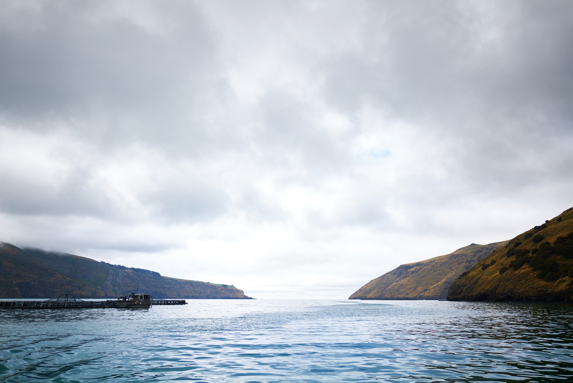 Akaroa Salmon - a great product born of New Zealand!