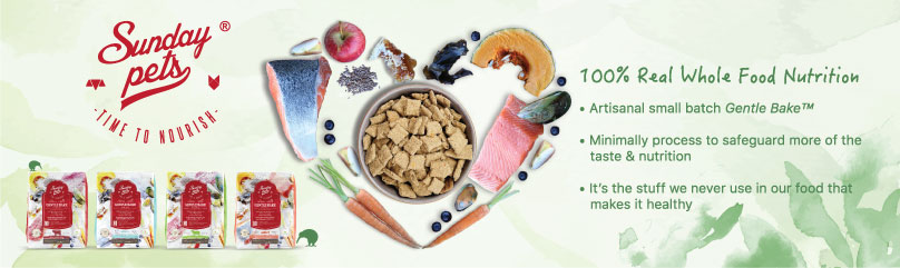 Sunday Pets - a great product born of New Zealand!
